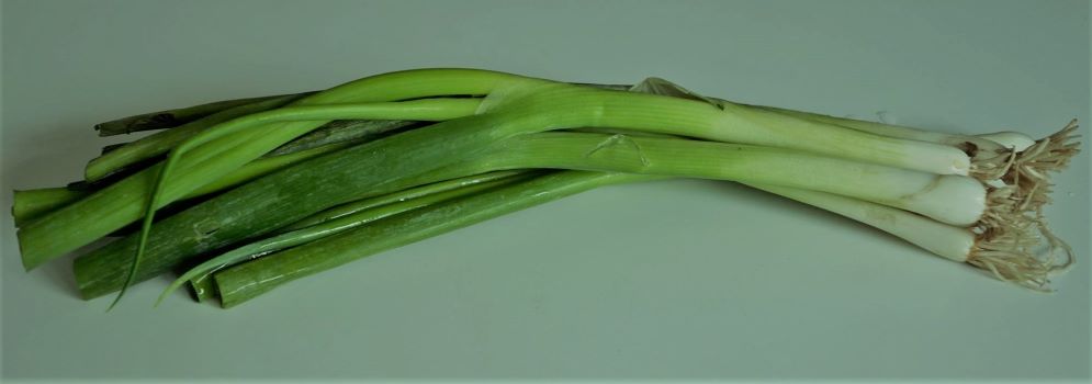 Eleven (11) Different Types Of Onions And Their Uses - Justagric